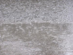 A Sopping Start to December - Seattle Weather Blog